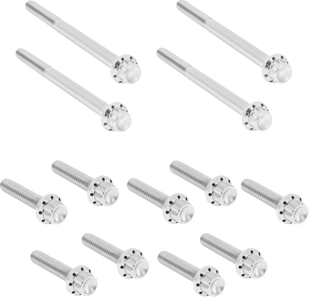 Arlen Ness Bolt Kit - Primary Cover - Titanium - 12-Point - Twin Cam...