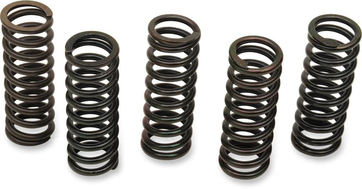 Barnett Spring Set – CI Motorsports