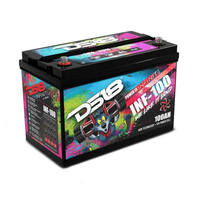 DS18 2800 Watts 100 AH Infinite AGM Power Cell Battery – CI Motorsports