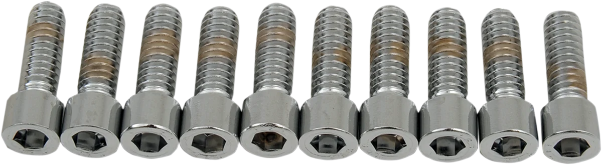 Drag Specialties Bolts - Socket-Head - Smooth - 1/4-20 x 3/4"