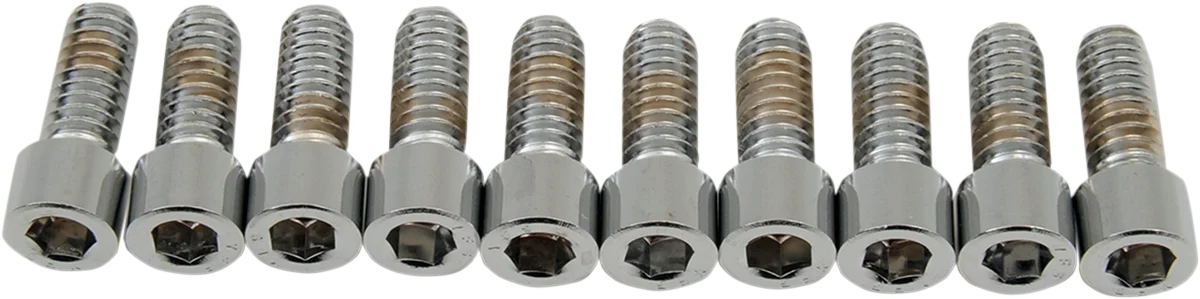 Drag Specialties Bolts - Socket-Head - Smooth - 1/4-20 x 5/8"