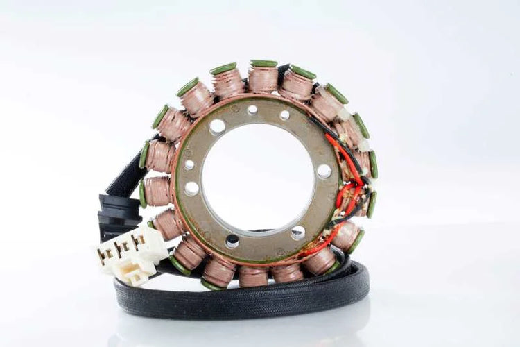 Ricks Motorsport Electrics New OEM Style Stator 21-114 fits 2000-2001 ...