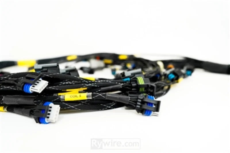 Rywire ECU Engine Harness w/Bosch MAP Option (Req PDM / Fuse Box